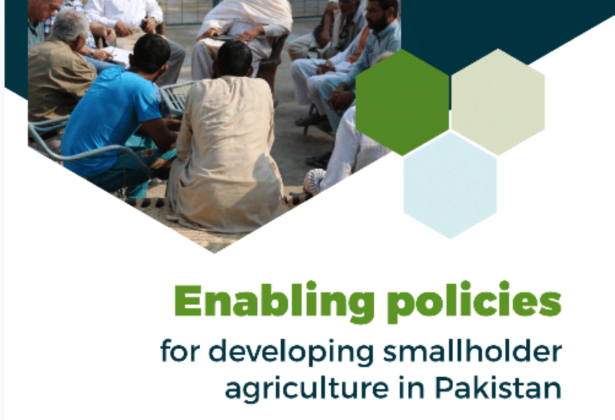 Enabling policies for developing smallholder agriculture in Pakistan ... Enabling policies for developing smallholder agriculture in Pakistan ...